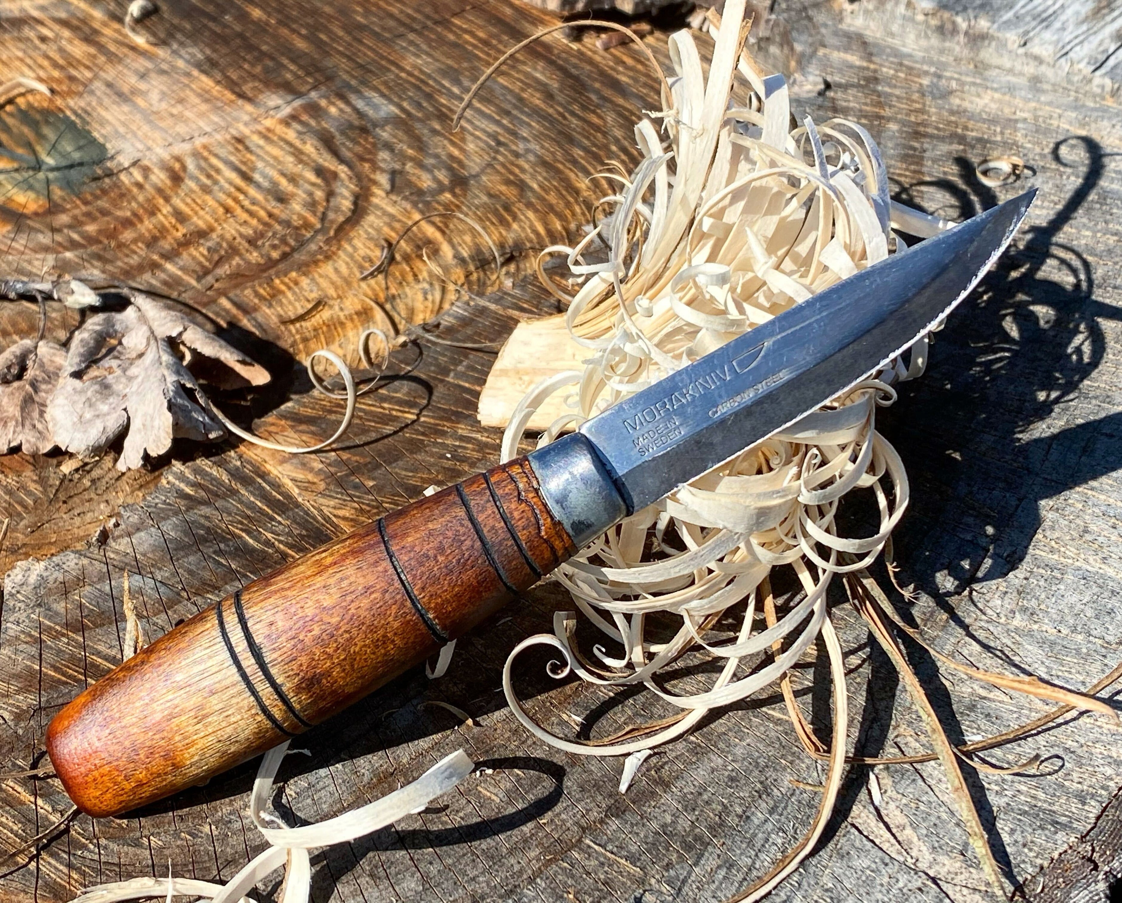 10 Essential Bushcraft Skills for Beginners — Georgia Bushcraft