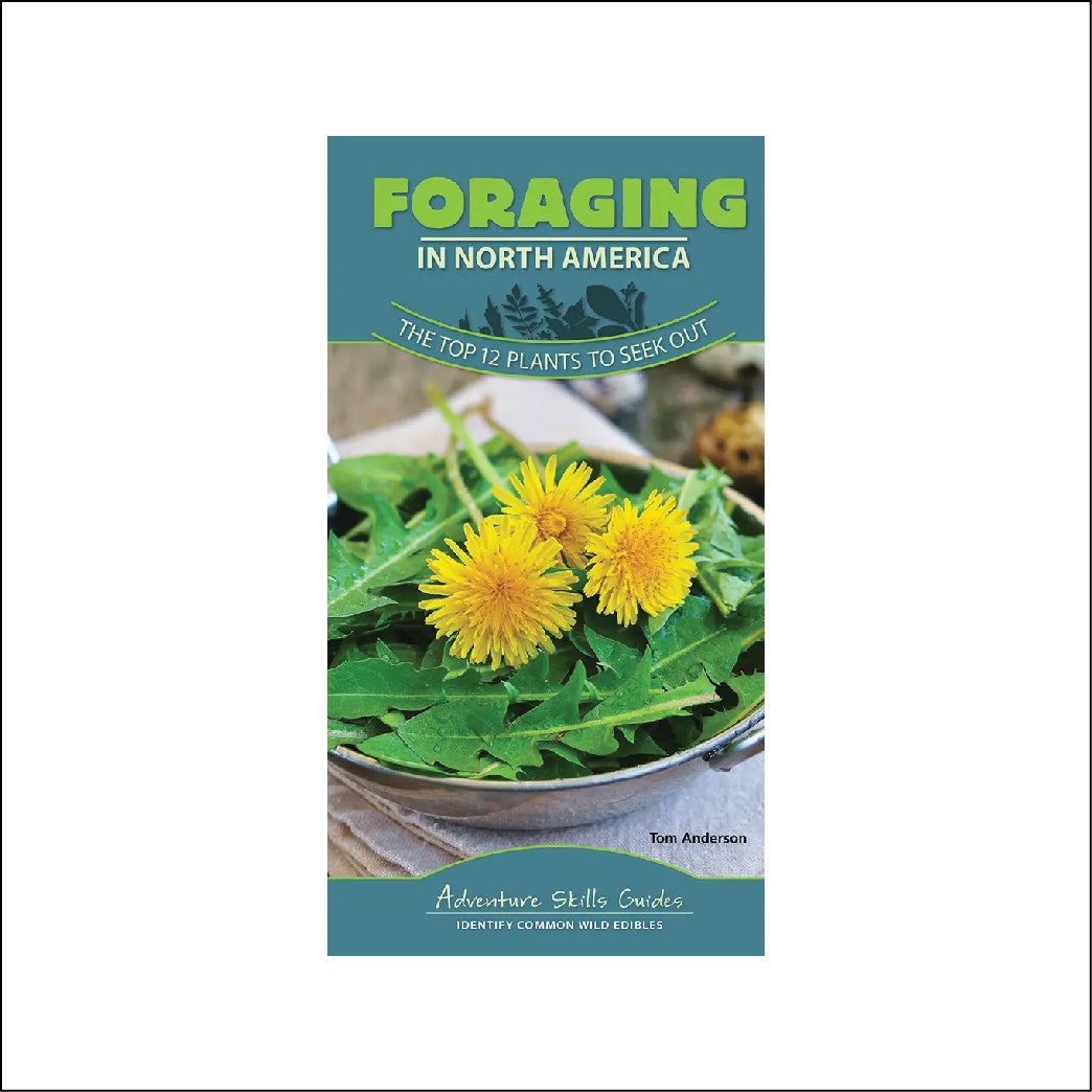 Foraging in North America Quick Guide — Georgia Bushcraft