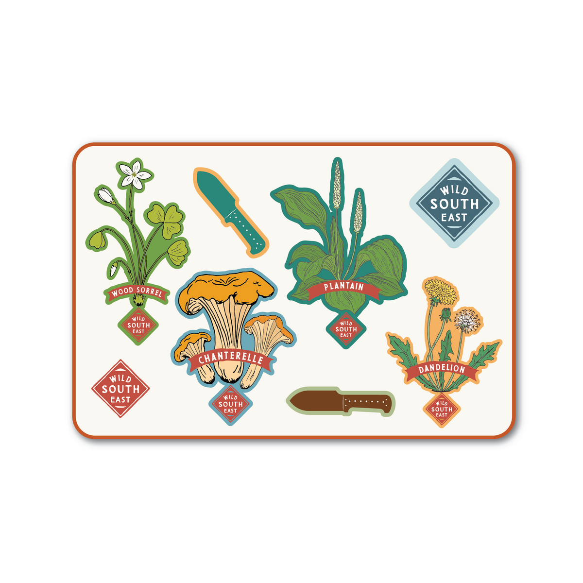 Wild South East Foraging Sticker Sheet — Georgia Bushcraft