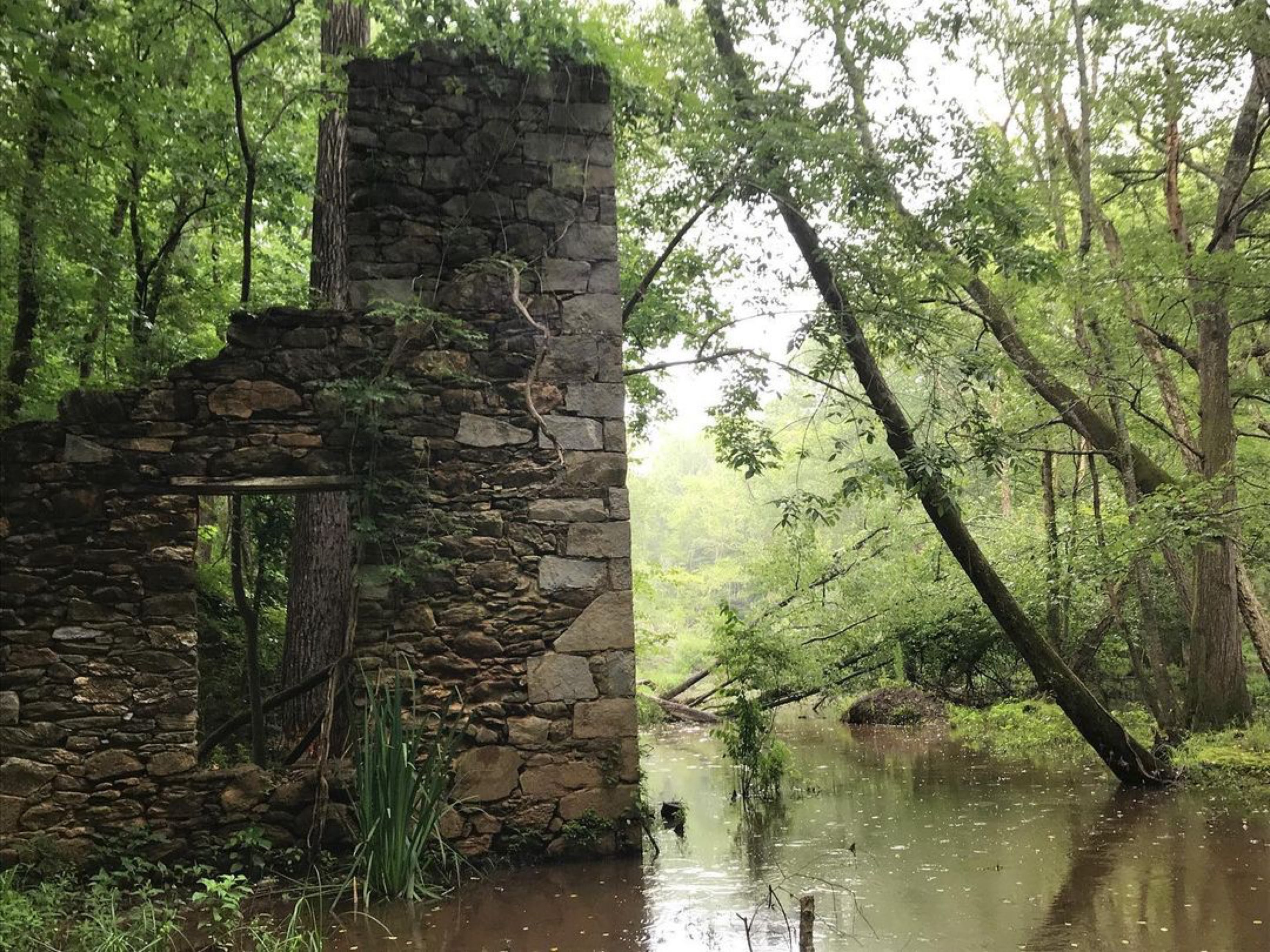 River Bushcraft Adventure — Georgia Bushcraft