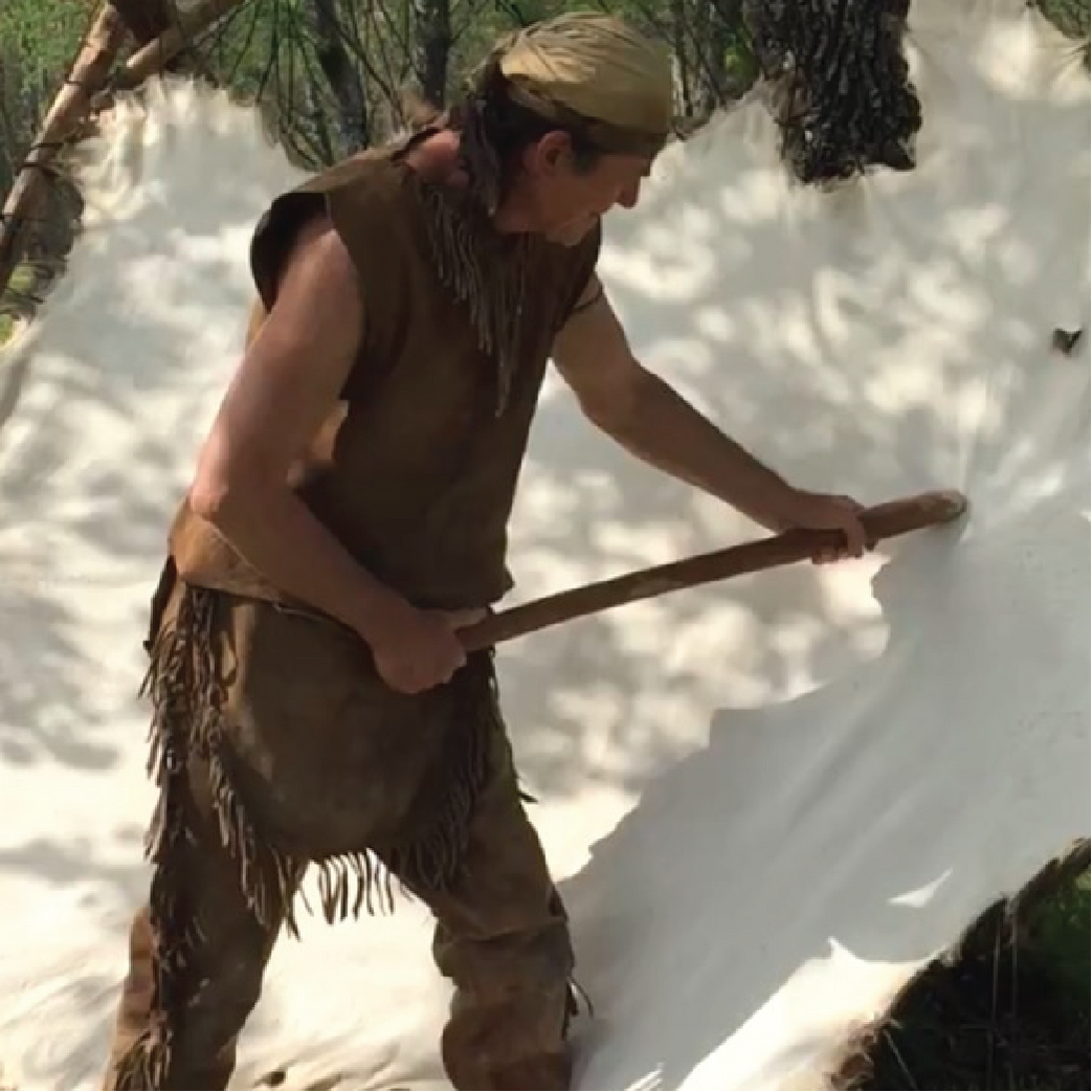 The Lost Art of Primitive Brain Tanning — Georgia Bushcraft