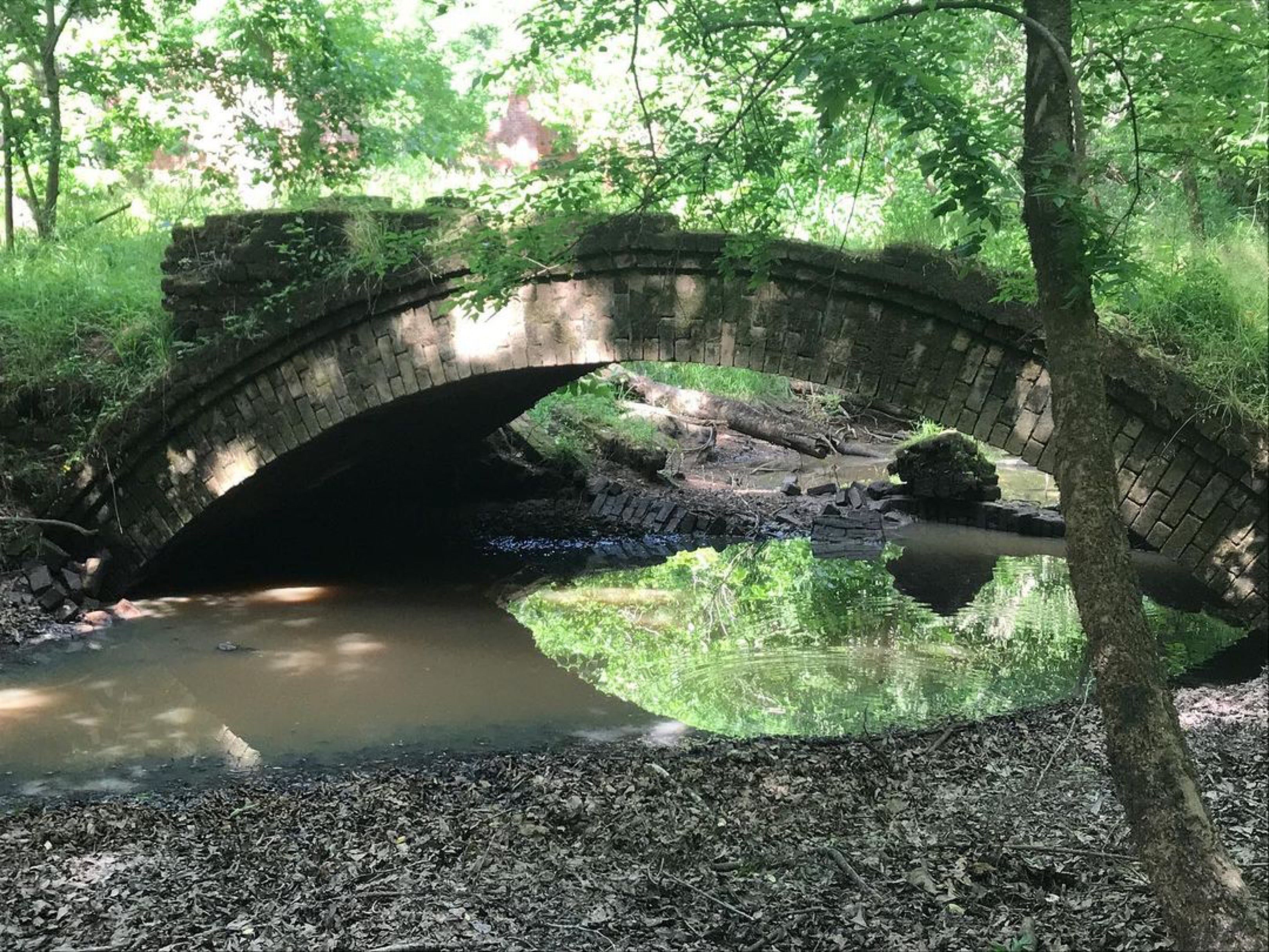 River Bushcraft Adventure — Georgia Bushcraft